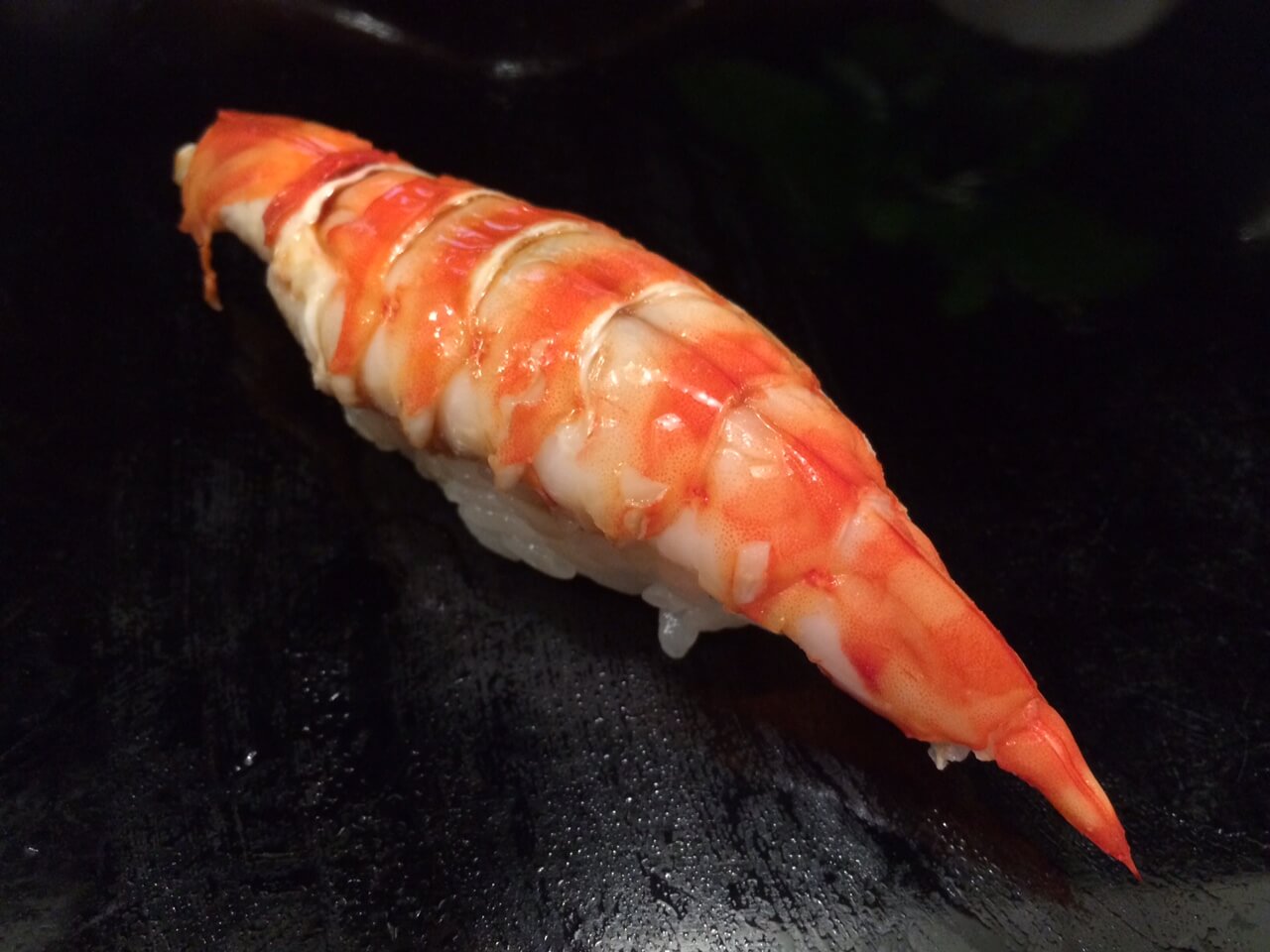 Classification of nigiri sushi | Basic Sushi Knowledge - Sushi University