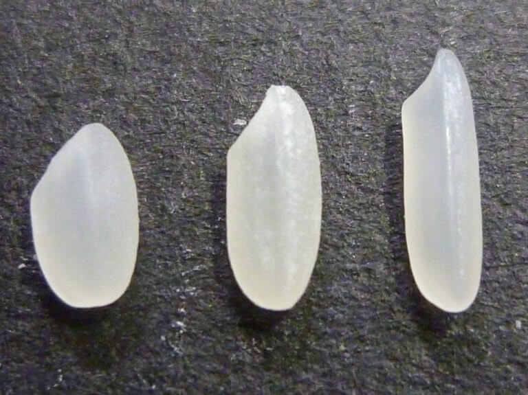 What rice to use for sushi? | Basic Sushi Knowledge - Sushi University