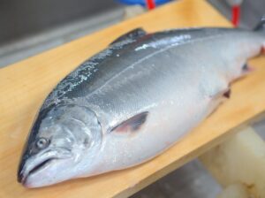 Cherry salmon (Sakuramasu) | Basic Sushi Knowledge - Sushi University