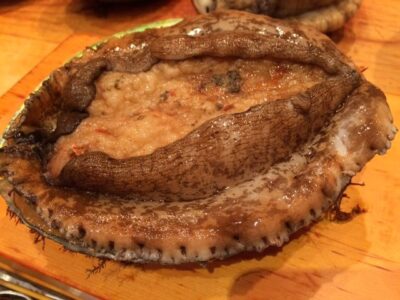 Giant abalone (Madaka-awabi) | Basic Sushi Knowledge - Sushi University