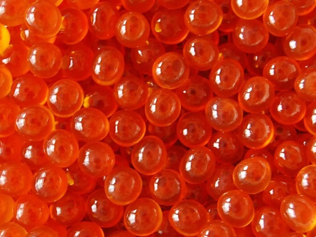 What is Red caviar? | Sushiblog－Sushiuniversity