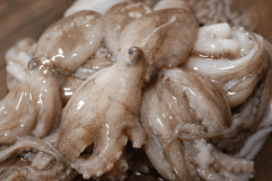 What is Ocellated Octopus (Iidako) sushi? | Sushiblog－Sushiuniversity