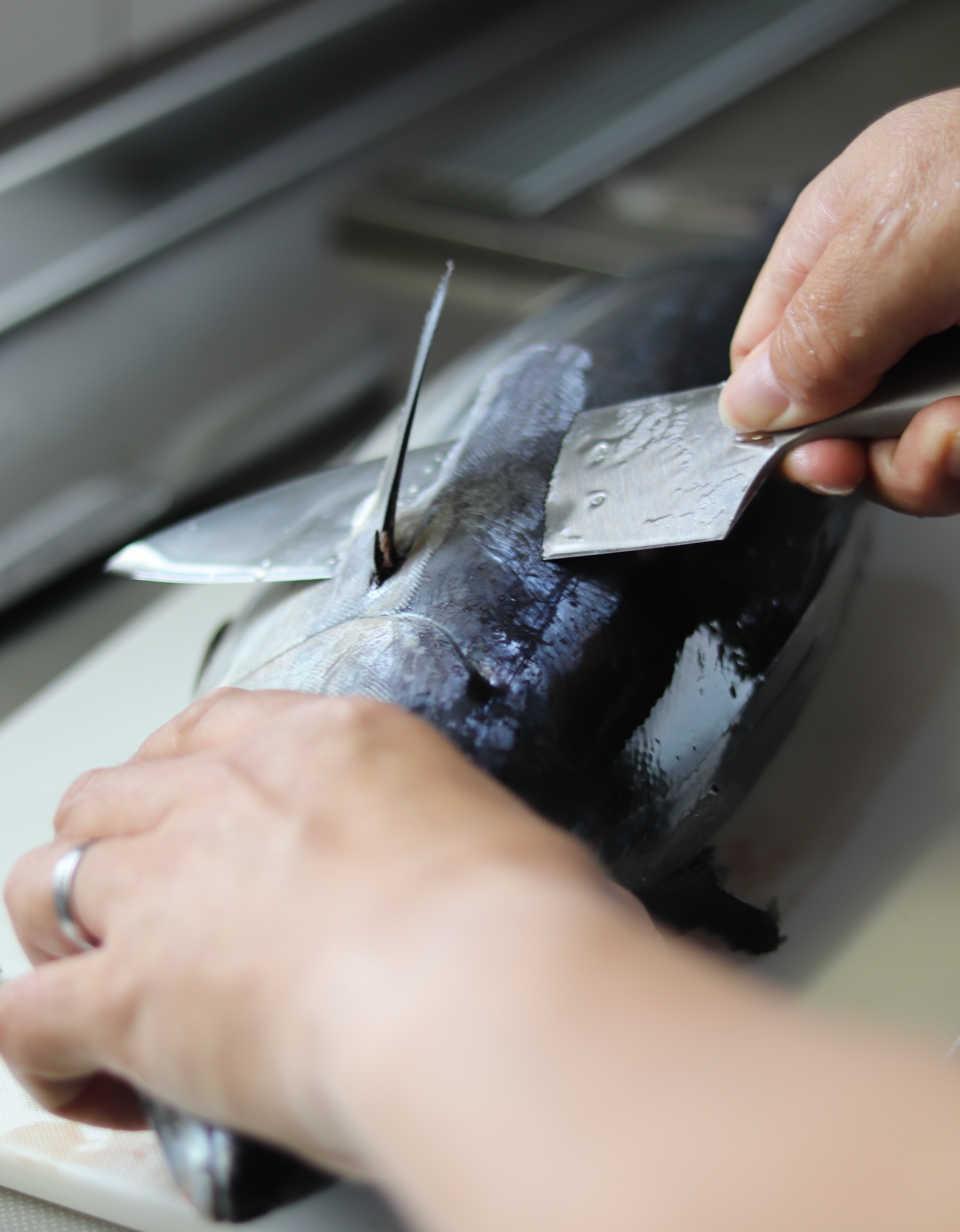 Sushibog is wrtten by researchers of Sushi University